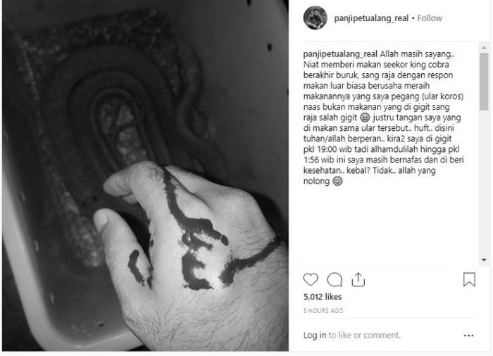 Kondisi Terkini Panji Petualang setelah Digigit King Cobra ... Kondisi Terkini Panji Petualang setelah Digigit King Cobra ...