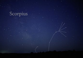 Berita Rasi Bintang Scorpio Terbaru Hari Ini - Bobo