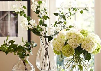 Berita Bunga Dalam Rumah Terbaru Hari Ini - Grid.ID