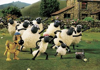Berita Shaun The Sheep Terbaru Hari Ini - Hai
