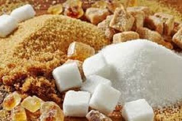 Berita Gula Palem Terbaru Hari Ini - Grid.ID