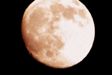 Berita Apa Itu Pink Moon Terbaru Hari Ini - Bobo