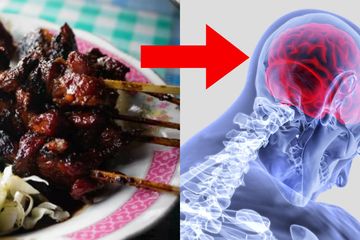 Sate Manusia Tangan Manusia Memegang Tusuk Sate Lezat Ayam Teriyaki