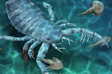 Kalajengking Raksasa