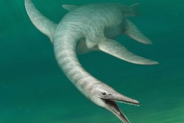 Berita Spesies Baru Plesiosaurus Terbaru Hari Ini - National Geographic