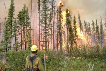 Berita Asap Kebakaran Hutan Terbaru Hari Ini - National Geographic