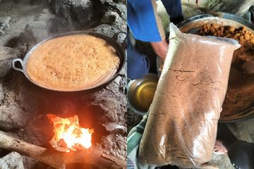 Berita Gula Semut Terbaru Hari Ini - Stylo