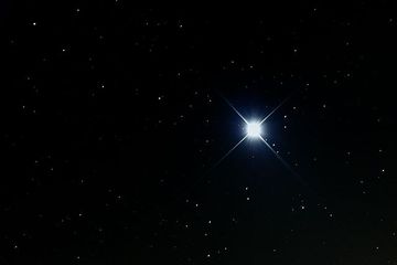 Berita Rasi Bintang Canis Major Terbaru Hari Ini - Kids