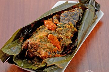 Berita Ikan Pais Terbaru Hari Ini - Bobo