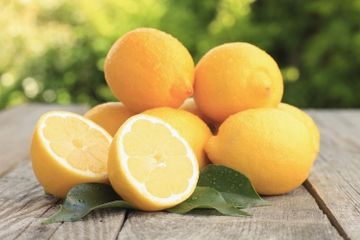 Berita Perasan Buah Lemon Terbaru Hari Ini - Grid.ID