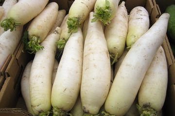 Berita 8 Manfaat Mengonsumsi Lobak Untuk Kesehatan Terbaru Hari Ini ...