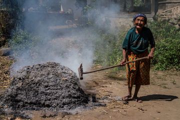 Berita Limbah Padi Terbaru Hari Ini - National Geographic