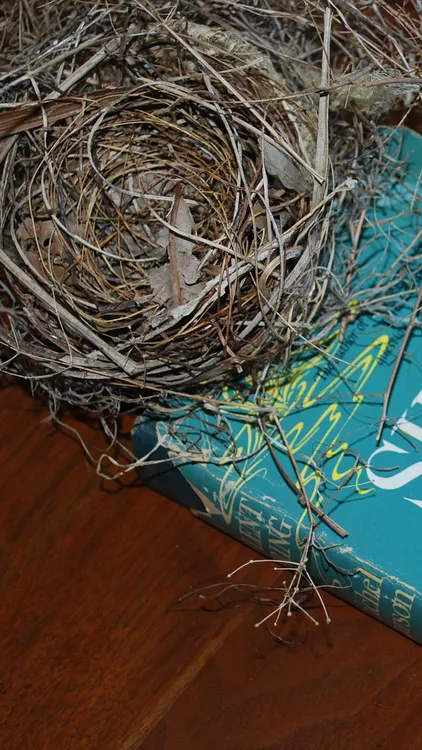 Silent Spring, Buku yang Merubah Dunia