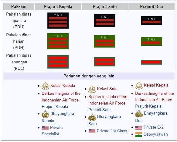 Inilah Daftar Lengkap Tanda Kepangkatan Tentara Nasional Indonesia (TNI ...