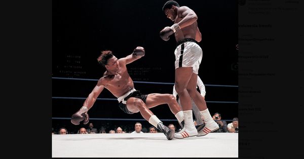 Berita Muhammad Ali Terbaru Hari Ini Juara Net