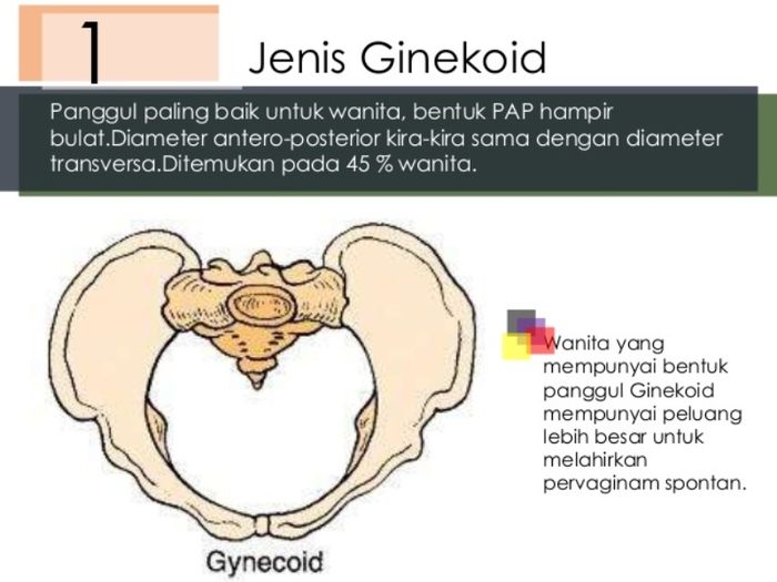 Inilah Bentuk Panggul Wanita Yang Bisa Melahirkan Secara Normal - Nakita