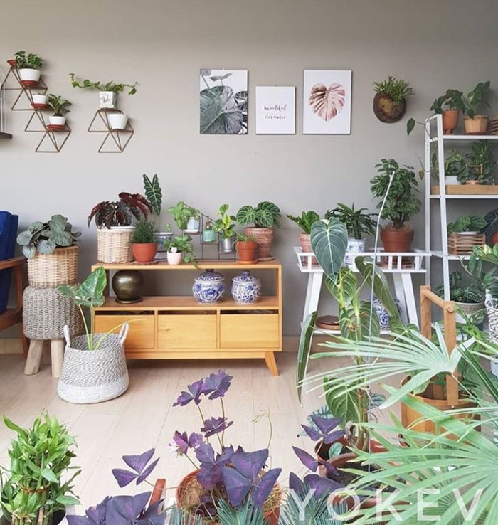 Jadi Ruang Transisi yang Punya Banyak Fungsi, Ini Trik Desain Teras ...