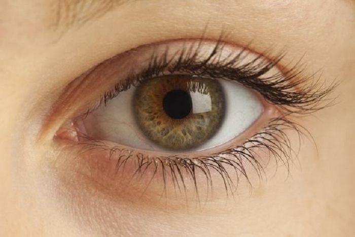 Mata Terasa Pusing? Mungkin Ocular Migraine Ini Penyebabnya! - Semua ...