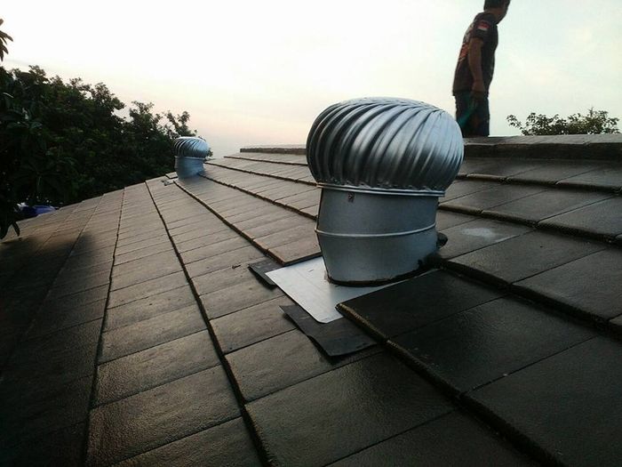Mengerikan! Begini Detik-Detik Ular Piton Merayap ke Atap, Ini yang ... Mengerikan! Begini Detik-Detik Ular Piton Merayap ke Atap, Ini yang ...