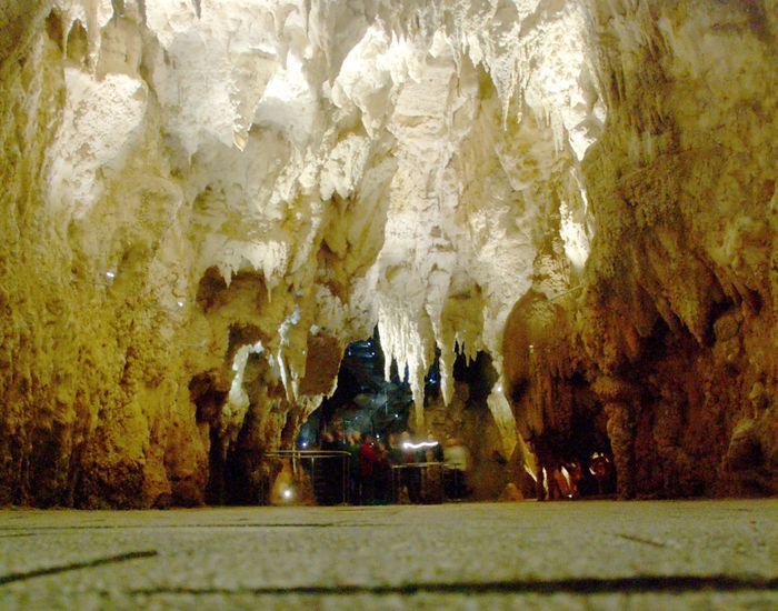 Beginilah Cara Menjaga Cacing Bercahaya di Waitomo Glowworm Cave Supaya ...