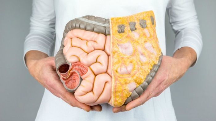 Hasil Evolusi, Sembilan Bagian Tubuh Ini Tak Lagi Dibutuhkan Manusia ...