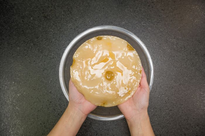 Kombucha, Jamur Ajaib Rahasia Diet Detoks Alami Anti Obesitas ...