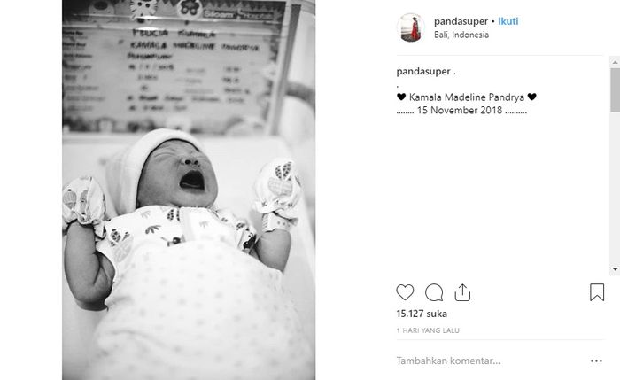 Potret Cantik Anak Kedua Cici Panda yang Baru Lahir, Begini Perjuangan ...