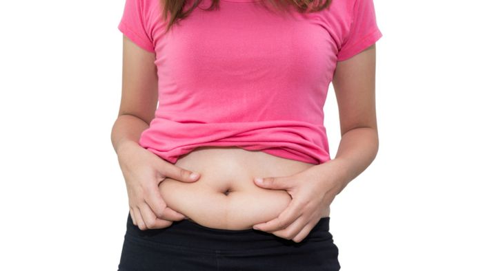 Perbedaan 2 Tipe Lemak Perut dan Begini Cara Menghilangkannya! - Semua ...