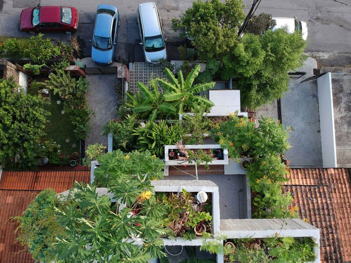 Planter Box House , Rumah Beton Ditutupi Tanaman yang Bisa Dimakan ...