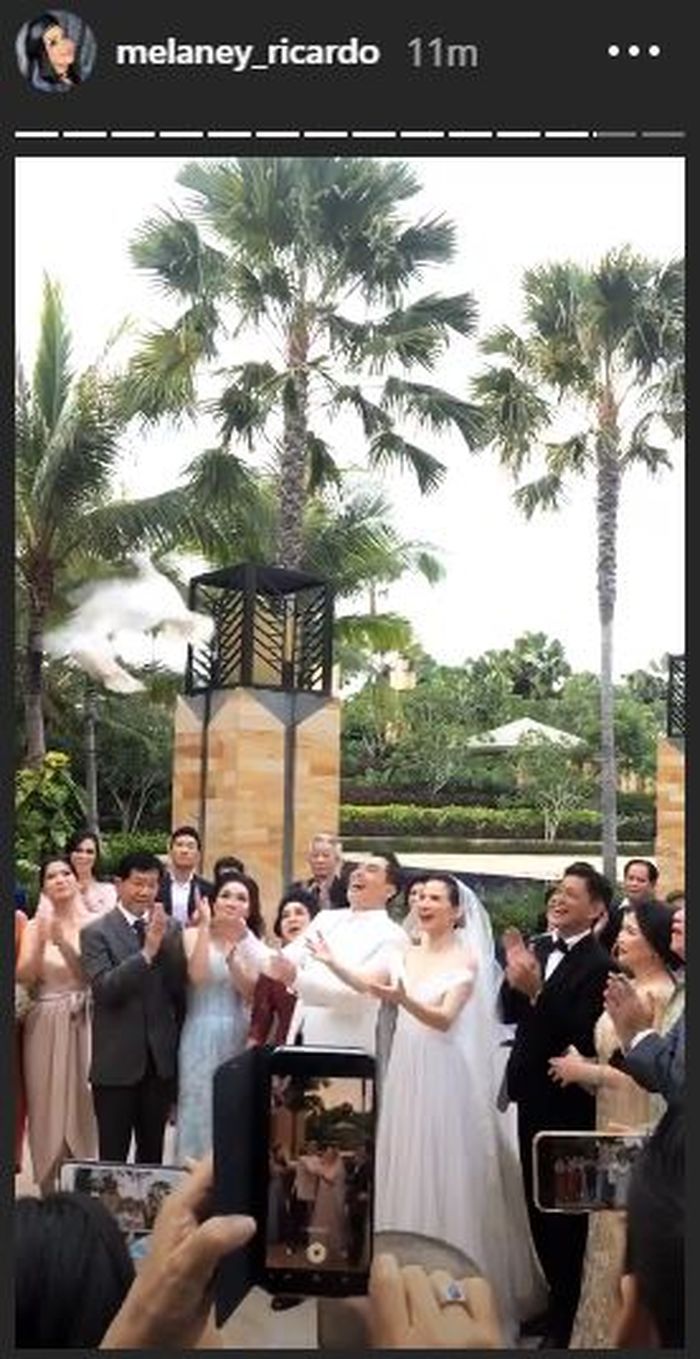 Resmi Menikah, Ini Penampilan Gaun Pengantin Istri Edric Tjandra Venny ...
