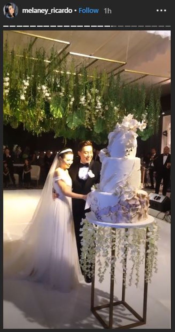 Resmi Menikah, Berikut Foto-foto Pernikahan Edric Tjandra dan Venny ...