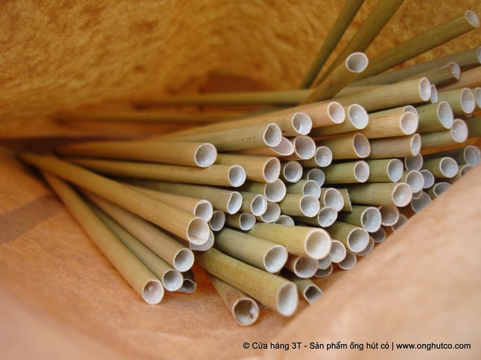 Seorang Pria Buat Sedotan Ramah Lingkungan Berbahan Rumput Liar ...