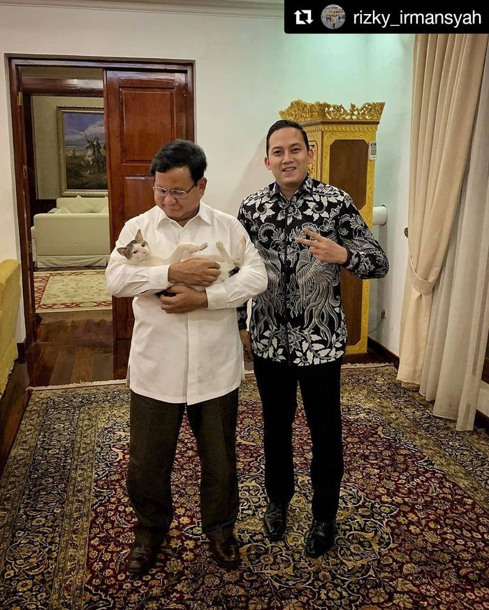 6 Keistimewaan Bobby Kertanegara, Kucing Kesayangan Prabowo yang Jenguk ...