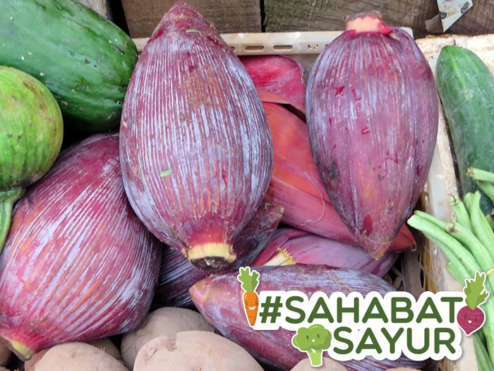 5 Manfaat Batang Pohon Pisang dan 6 Manfaat Jantung Pisang Bagi ...