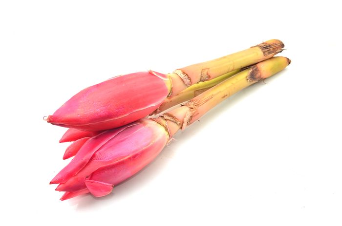 Kecombrang, Dikenal di Berbagai Daerah dan Punya Banyak Manfaat - Bobo