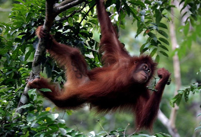 Rayakan Momen Lulus Sekolah, Lihat Foto-foto Momen Kebahagiaan ...