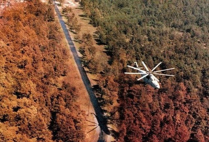 Apa yang Akan Terjadi Jika Kita Tinggal di Zona Ekslusi Chernobyl Saat ...