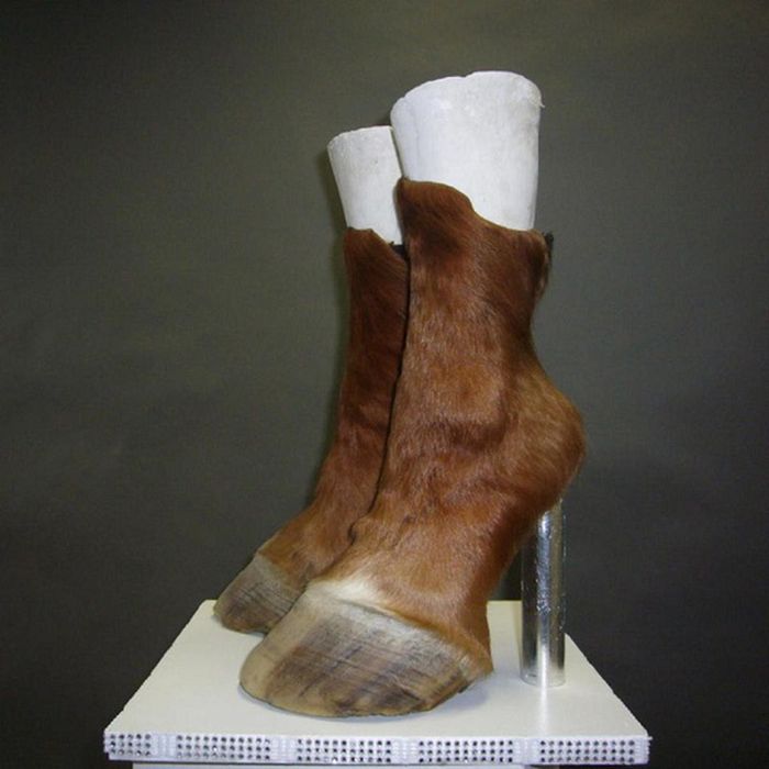 Ini 9 Model Sepatu Paling Aneh & Jelek di Dunia. Berani Pakai ...