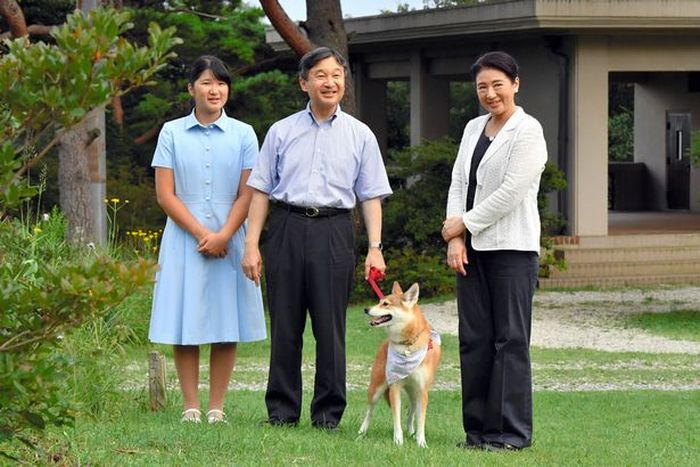 3 Fakta Putri Aiko dari Jepang, Terancam Kehilangan Gelarnya atau Jadi ...