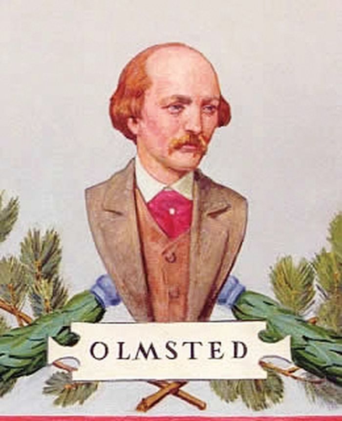 Kenalan dengan Pelopor Dunia Lansekap Frederick Olmsted, Sudah Diakui ...