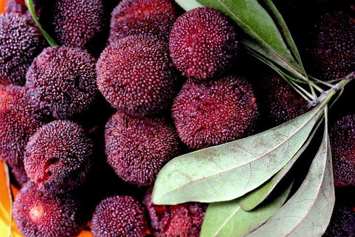 Ini 7 Buah Paling Aneh, Tapi Keren di Dunia. Ada yang dari Indonesia ...