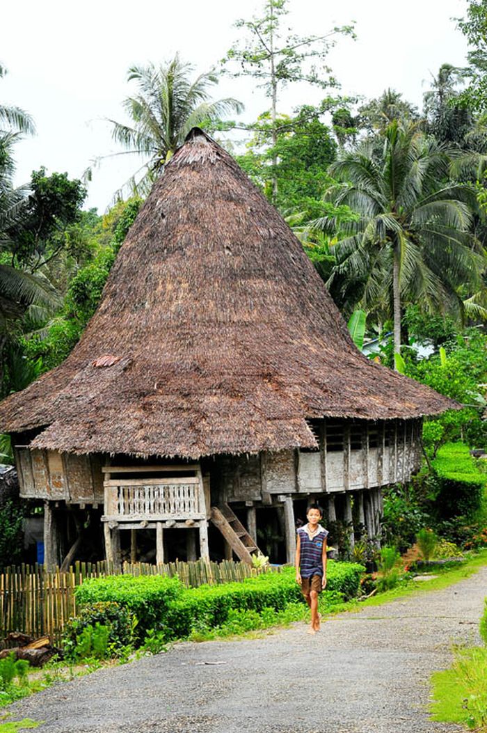 Mengenal Omo Hada dan Omo Sebua, Rumah Tradisional Masyarakat Nias - Bobo Mengenal Omo Hada dan Omo Sebua, Rumah Tradisional Masyarakat Nias - Bobo