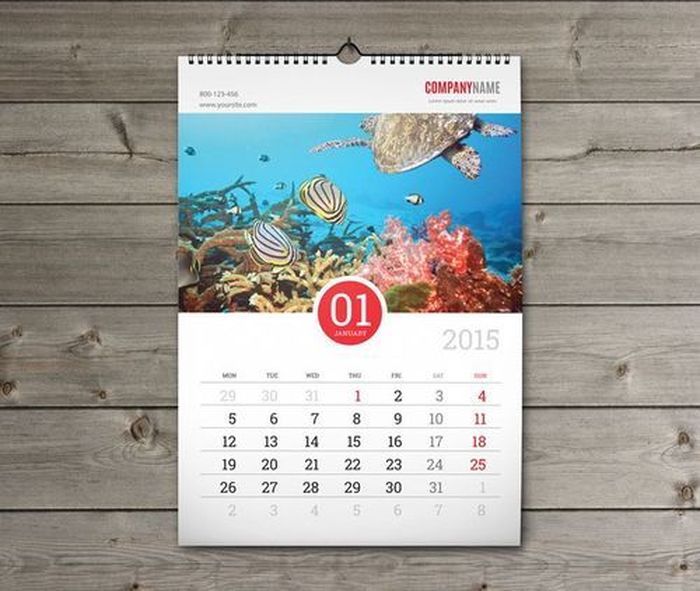 Biasa Disimpan, Segera Buang 7 Barang Pembawa Sial Ini dari Rumah ...
