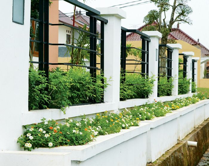 Tampak Lebih Ciamik, Siasati Tanaman Rambat di Pagar dengan Cara Ini ...