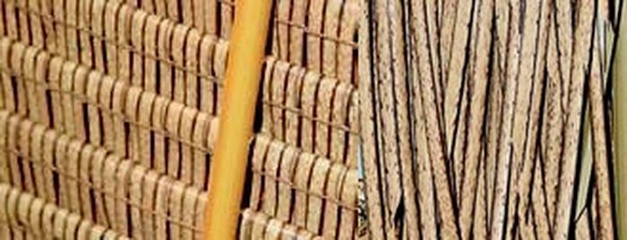 Jatuh Cinta Ijuk dan Rumbia tapi Rawan Bocor? Yuk Kenali Imitasinya ...