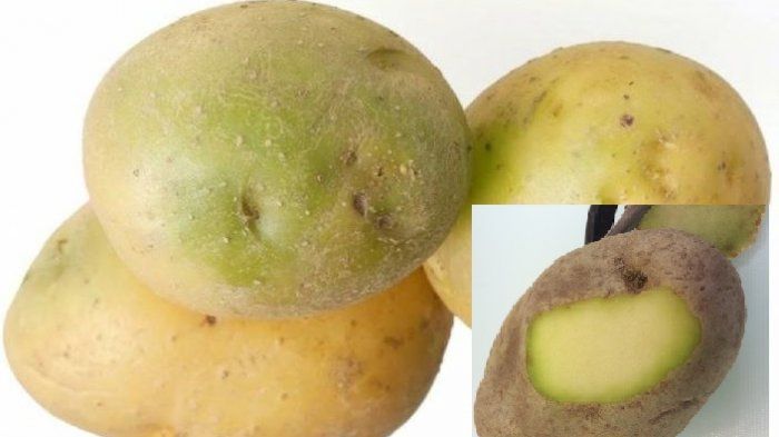 Jangan Konsumsi Kentang Kalau Sudah Muncul Penampakan Begini, Berbahaya ...