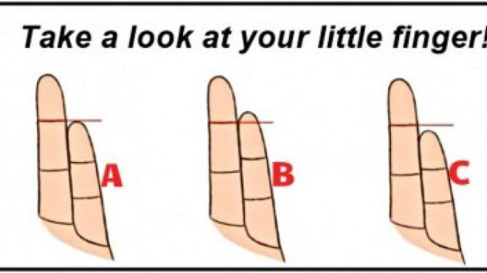 Tes Kepribadian: Ungkap Rahasia Diri Anda Lewat Panjang Jari Kelingking ...