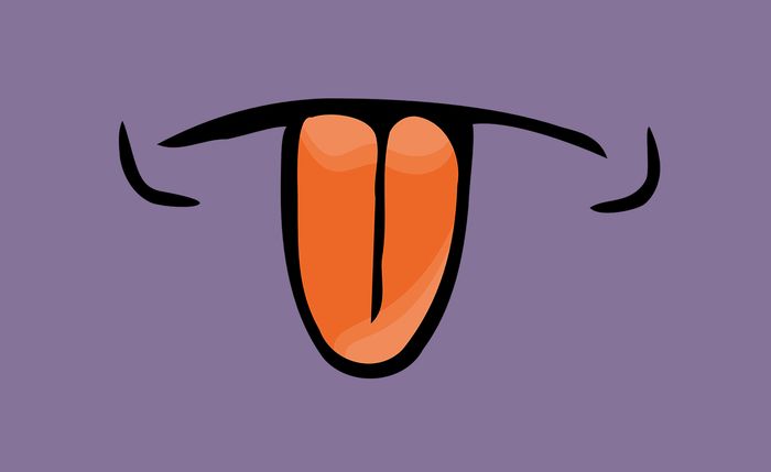 Mengenal 5 Macam Panca Indra pada Manusia Beserta Fungsinya - Semua ...