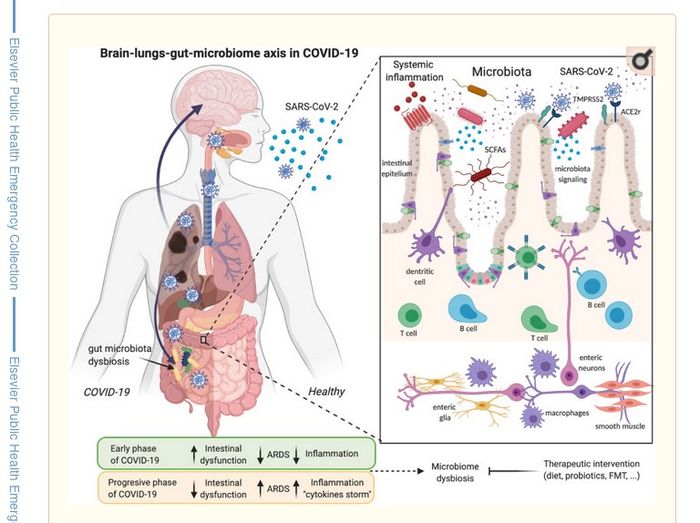 Gangguan Pencernaan adalah Gejala Dini Infeksi SARS-CoV-2 Penyebab ...