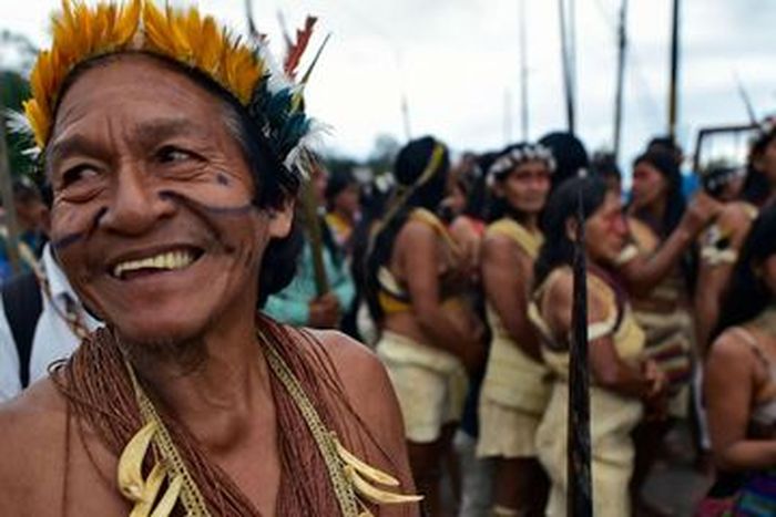 Keadaan dan Fakta Mengenai Hutan Amazon yang Penuh Misteri, Berani ke Sana? - Semua Halaman - Kids